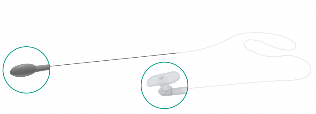 Monoka® of Fayet (Crawford Guide) - FCI